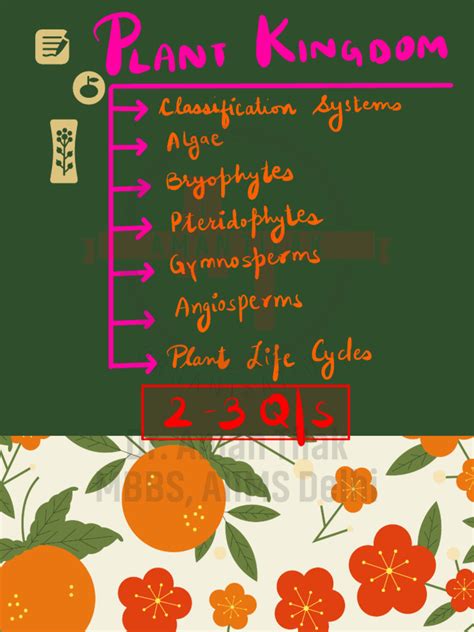 Plant Kingdom Pdf Taxonomy Biology Algae