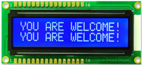 Negative Positive LCD Display Mode Polarizers Orient Display