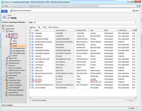 How To Create Cascading Lookup In Ms Dynamics Crm Abto Software