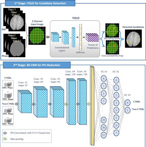 Figure 1 From Automated Detection Of Cerebral Microbleeds In Mr Images