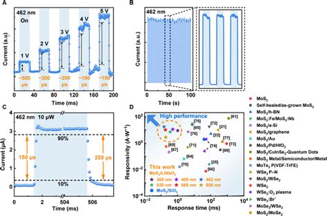 Broadband Polarization Sensitive And Self Powered High Performance Photodetection Of Hetero