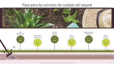 Las 10 Mejores Plantillas De Propuestas Para El Cuidado Del Césped Con