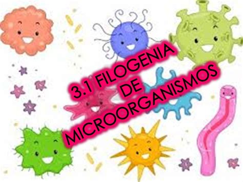 Microbiologia Unidad 3 Clasificacion Y Generalidades De Microorganismos