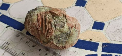 Help Identifying Potential Fossilised Poo Please Fossil Id The