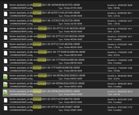 How To Delete Corrupted Files Home Assistant Community