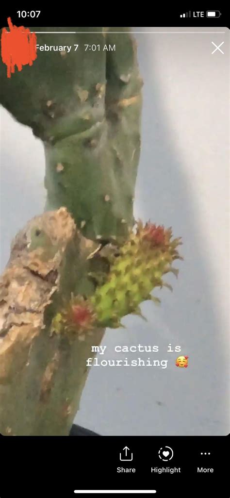 Some Of Last Weeks Plots Enjoy R Plotterart