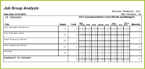 Eeo Report Template PROFESSIONAL TEMPLATES Report Template Action Plan Template Job