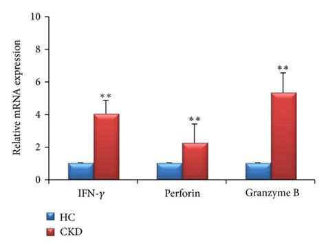 Mrna Expression Of A Ifn γ Perforin And Granzyme B In Cd4⁺cd28null