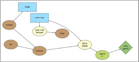 BDN Subnetwork Fitted To The Conceptual Submodel Showing The Direct And Download Scientific