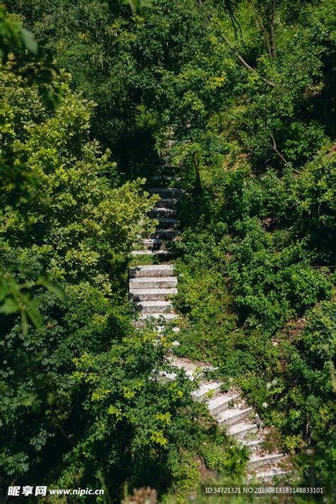 覆盖的台阶摄影图自然风景自然景观摄影图库昵图网 覆盖的台阶摄影图自然风景自然景观摄影图库昵图网