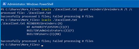 Using Icacls To Manage File Permissions The Definitive Guide