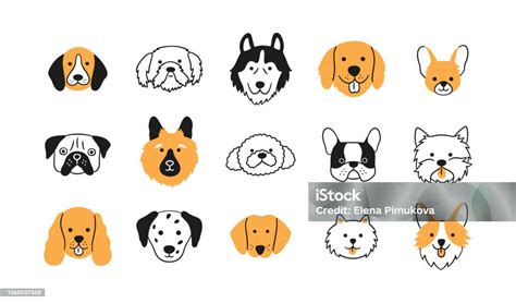다른 품종 개 세트의 얼굴 코기 비글 스피츠 치와와 테리어 리트리버 스패니얼 푸들 낙서 개 머리의 컬렉션 흰색 배경에 격리 된 손으로 그린 벡터 그림 개에 대한 스톡 벡터