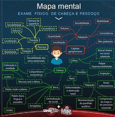 mapa mental exame fisico cabeca e pescoco hot sale fast lisa unibo it