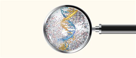 How To Spike In Normalization Biotechniques