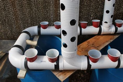 Easy Build Gravity Based PVC Aquaponic System Your Projects OBN