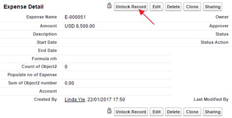 Salesforce Unlock Record Button