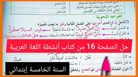 حل الصفحة 16 من كتاب أنشطة اللغة العربية للسنة الخامسة إبتدائي Youtube