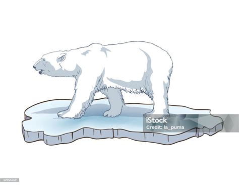 북극곰 각얼음에 대한 스톡 벡터 아트 및 기타 이미지 각얼음 갈고리 발톱 겨울 Istock