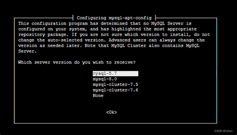 linux服务器上apt安装mysql及配置教程 csdn博客