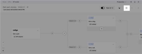 Api Builder Versioning Celigo Connective