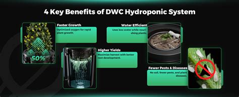 Dwc Hydroponic System Kit With 2 Buckets Mars Hydro