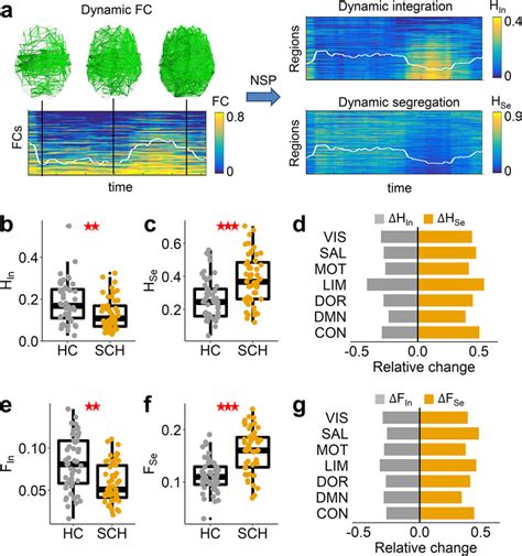 Dynamic Segregation And Integration A Schematic Diagram Of Dynamic Download Scientific Diagram