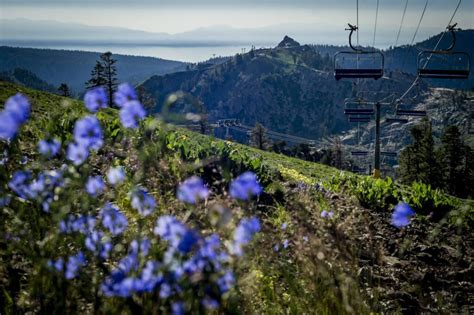Choose Your Own Adventure at the Epicenter of Tahoe - Palisades Tahoe at Lake Tahoe