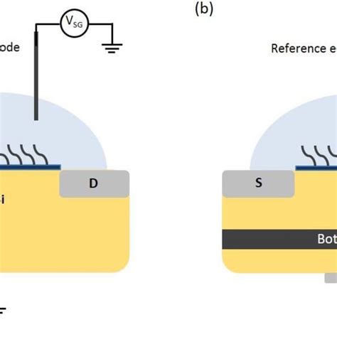 The Configuration Comparison Between A Conventional Isfet And B Download Scientific Diagram