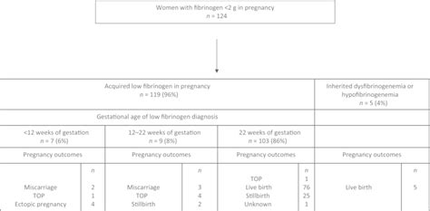 Flow Chart Of The Population Top Termination Of Pregnancy Download