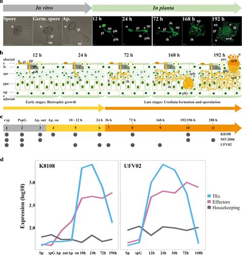 Nature Communications 研究揭示大豆锈病病原体的广谱适应机制！ 知乎