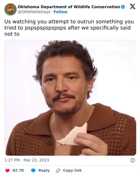 39 Hysterical Memes That Perfectly Sum Up 2023