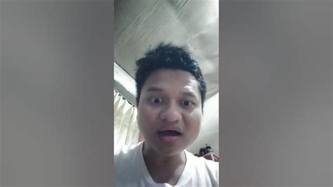 Kucing Imut Banget Youtube