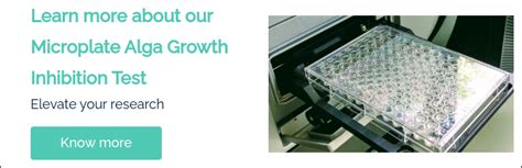 Algae Understanding Its Role In The Ecosystem Biobide