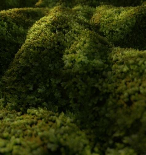 Artstation Redshift Shader C4d Moss V4 Resources