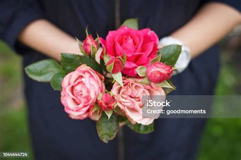 여자의 손 잡고 정원 장미의 아름 다운 무리의의 근접 촬영 위에서 보기 꽃에 선택적 초점입니다 가을에 대한 스톡 사진 및 기타