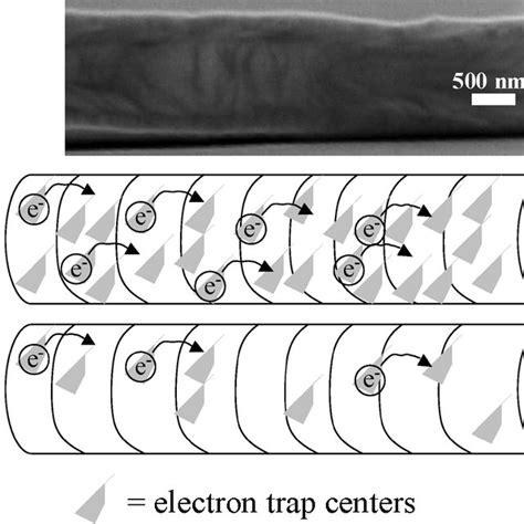 Structural Differences Between Carbon Nanotube And Carbon Nanofiber