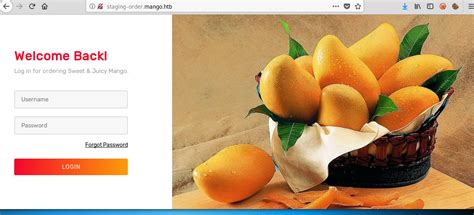 Hackthebox Magic Walkthrough Geek Girl