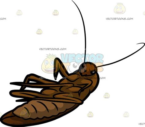 Cockroach Clipart At Getdrawings Free Download