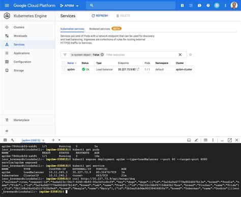 How To Run An API Builder Microservice On Google Kubernetes Engine GKE