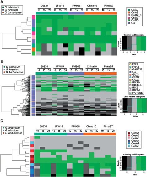 hierarchical clustering of transcripts associated with genes for