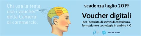 Voucher Digitali Delle Camere Di Commercio Esaedro