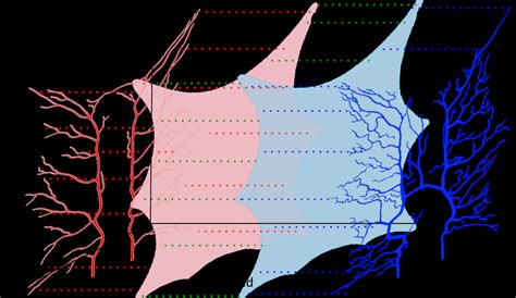 Quasi 3d Numerical Model For A 2d Spatial Problem The Xy Vertical