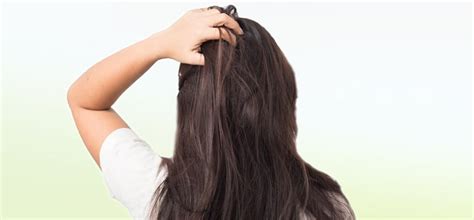 Psoriasi Del Cuoio Capelluto Le Cose Da Sapere Biogena