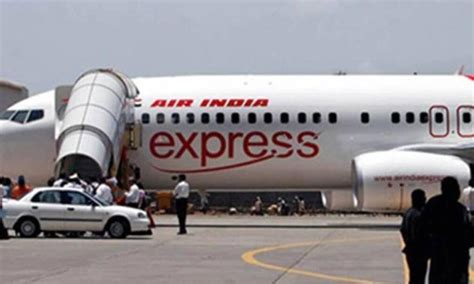 Snake Discovered In The Cargo Compartment Of An Air India Express