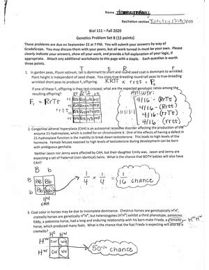 Genetics Problem Set Recitation Worksheet BIOL 11100 Studocu