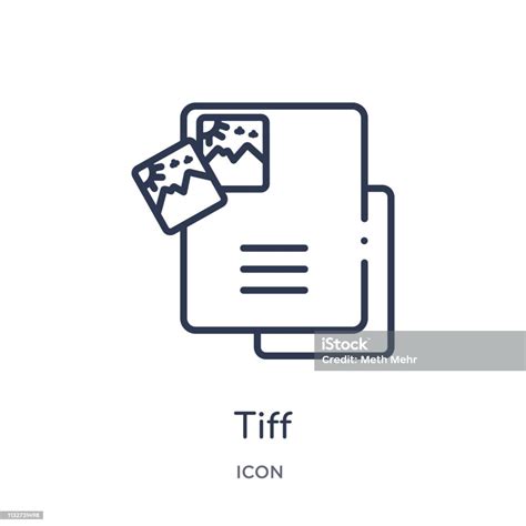 파일 형식 개요 모음에서 선형 Tiff 아이콘입니다 얇은 라인 Tiff 벡터 흰색 배경에 고립입니다 Tiff 트 렌 디 한