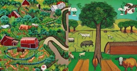 Different Types Of Sustainable Agroforestry Systems Toagriculture