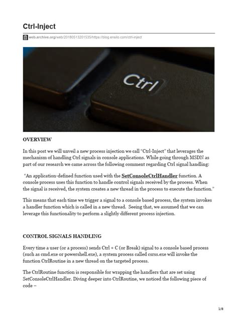 Ctrl Inject Pdf Pointer Computer Programming Command Line Interface