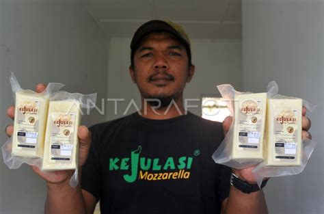 Produksi Keju Lasi Antara Foto