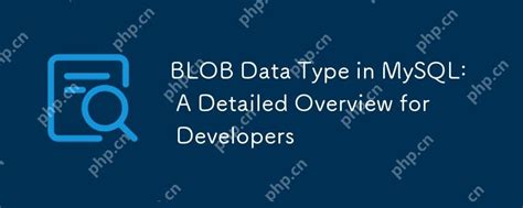 Mysql中的blob數據類型：開發人員的詳細概述 Mysql教程 Php中文網